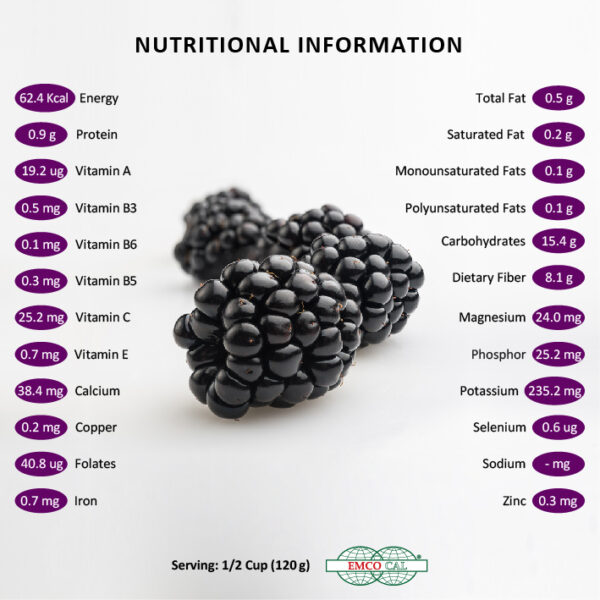 Nutrition – EMCO CAL